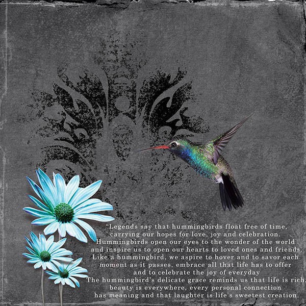hummingbird legend – Carpe Diem with Caye
